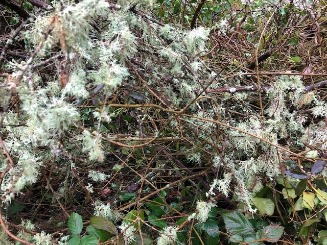 Relubbus Walk – Sacred Mysteries
