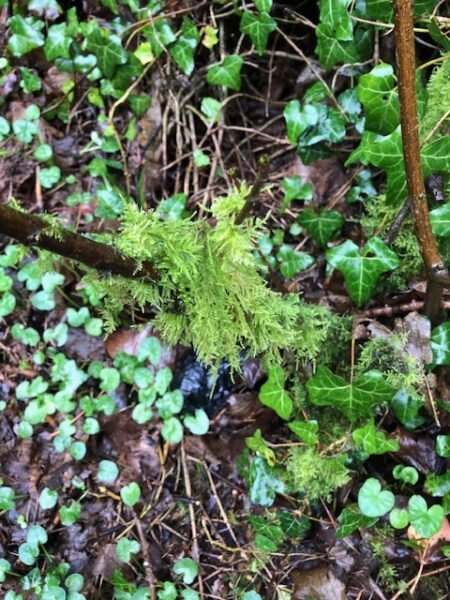 Relubbus Walk – Sacred Mysteries