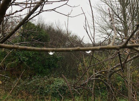 Relubbus Walk – Sacred Mysteries