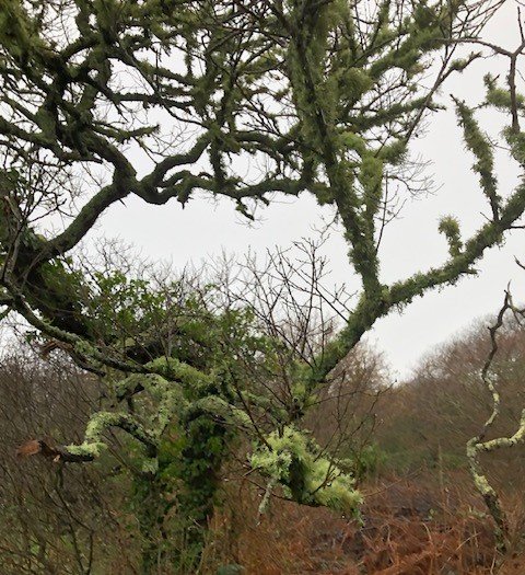 Relubbus Walk – Sacred Mysteries